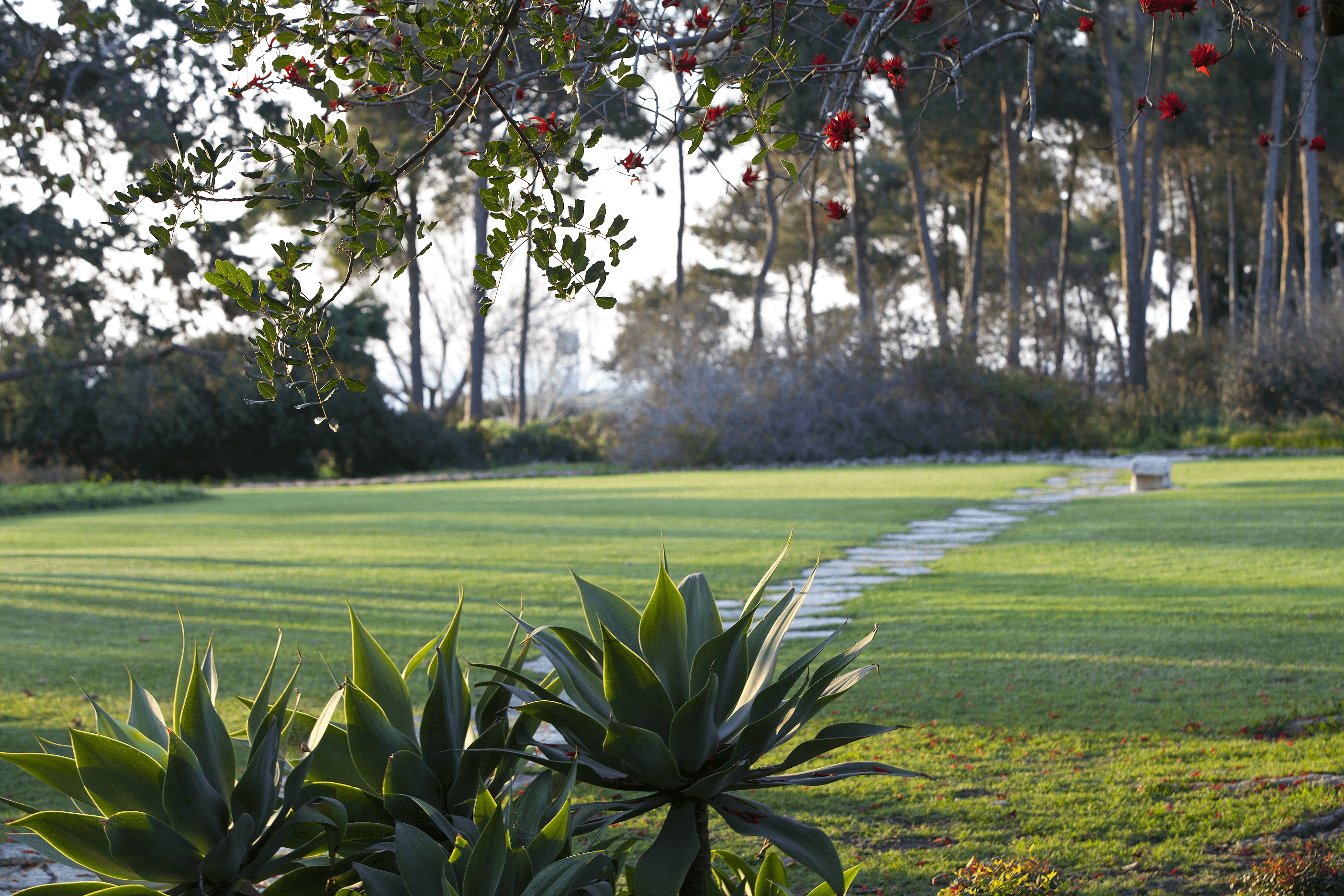 Choices in the Garden - Ramat Hanadiv