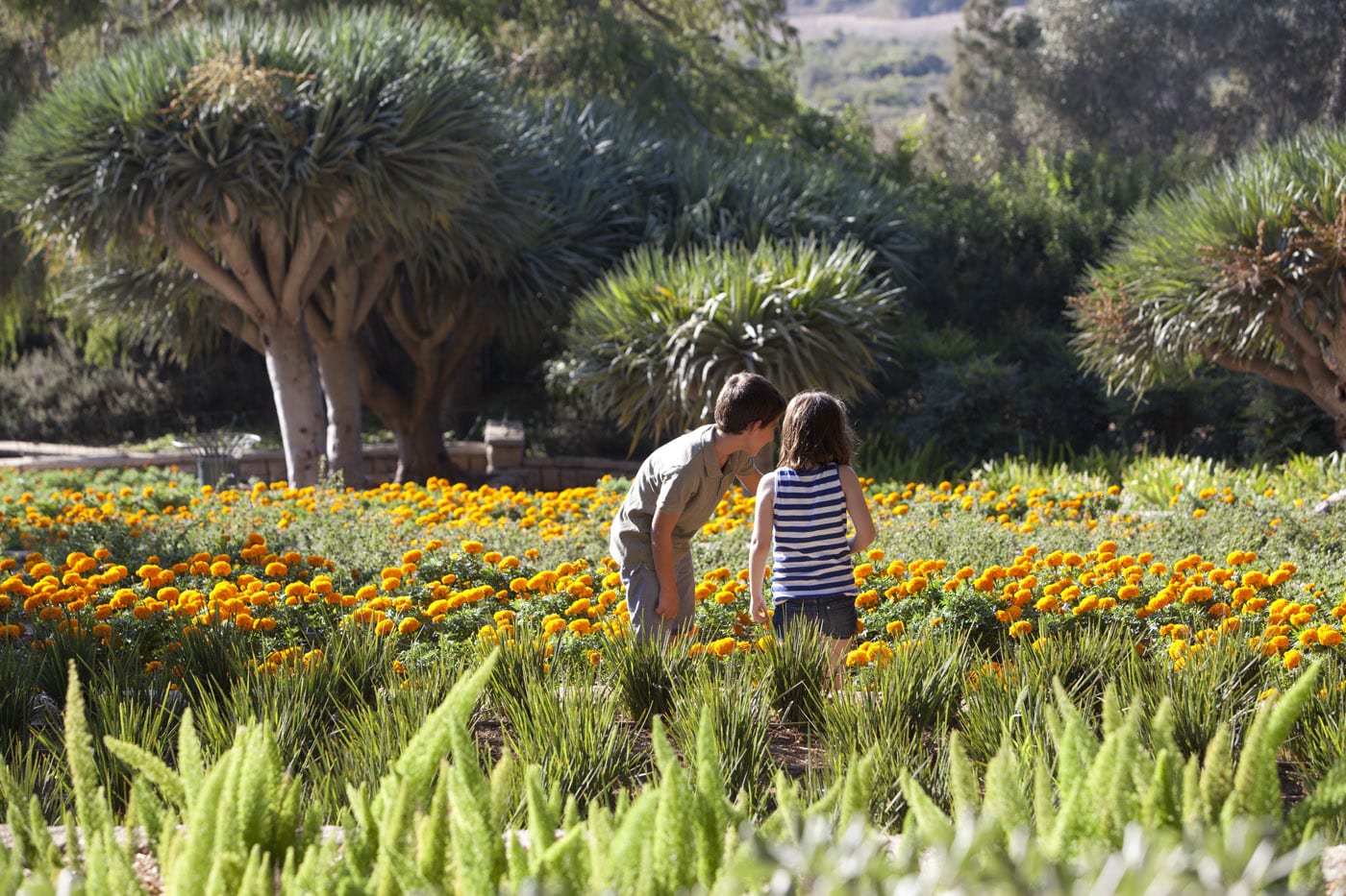 Sign up for Ramat Hanadiv 70s Anniversary - Ramat Hanadiv