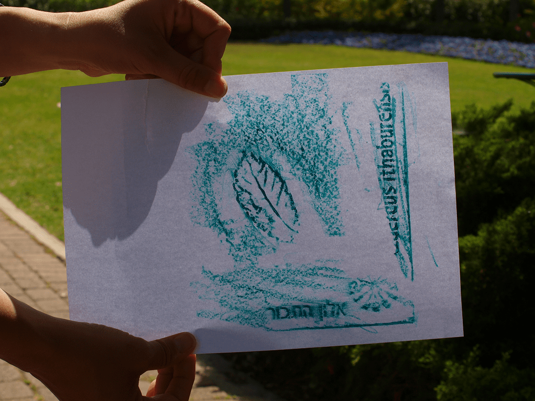 Learn about the trees through their leaves – All about Leaves activity ...